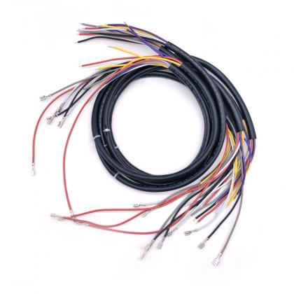 Manufacturer OEM custom electric wire harness cable assembly for ...